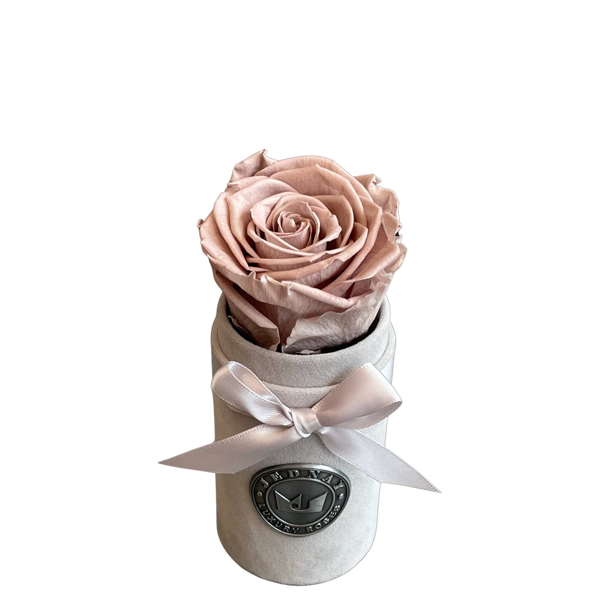 How The Rose Became The Centre Of A Floral Language