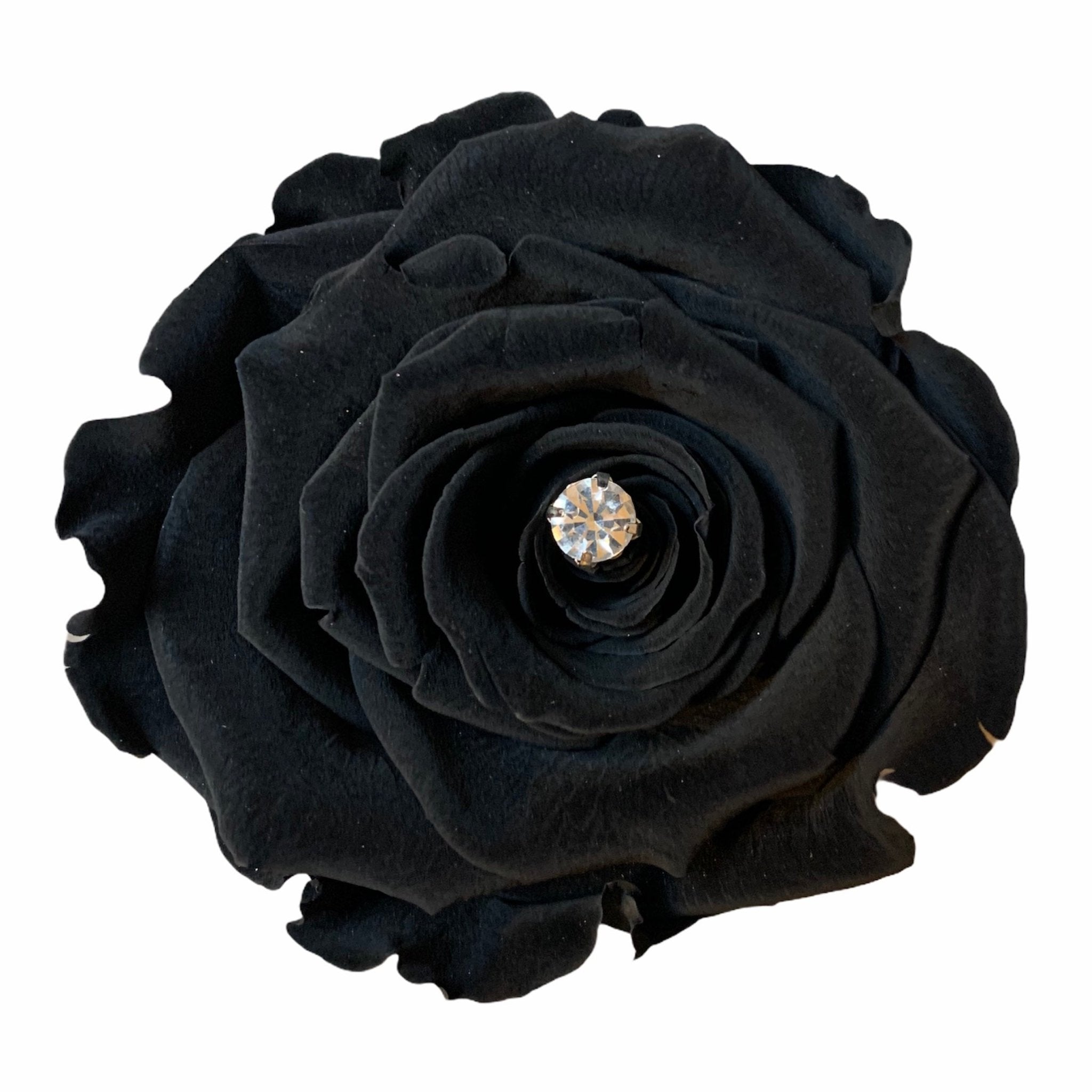 MIDNIGHT BLACK ETERNAL ROSES