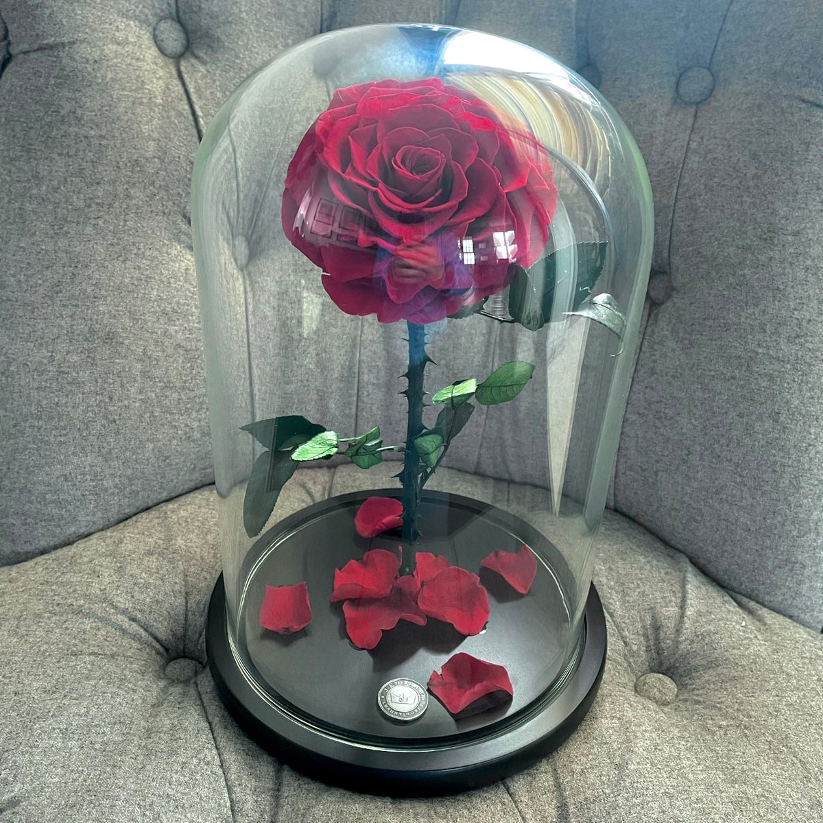 Eternal roses - Forever preserved to last a year - Jednay